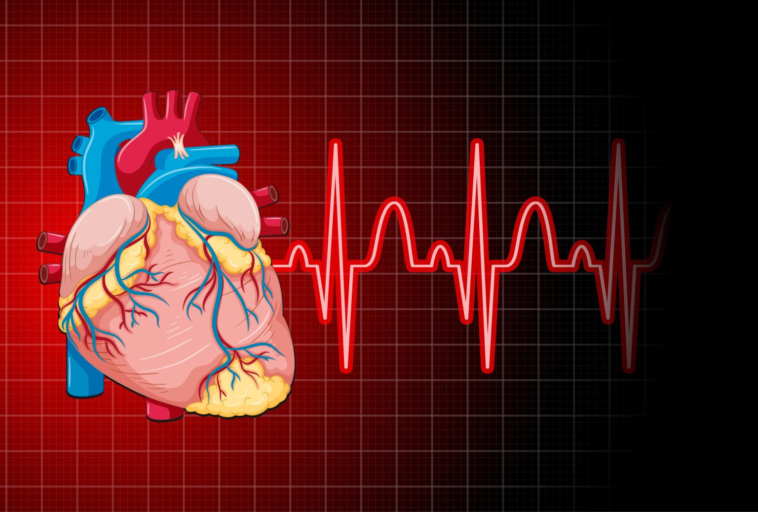 General cardiology in Dubai | Cardiologists in Dubai UAE